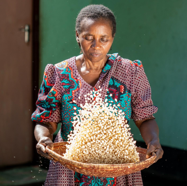 Fair Process Framework - 3.3 Establish attributes and metadata