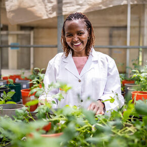 Fair Process Framework - 3.2 Identify output and input data assets