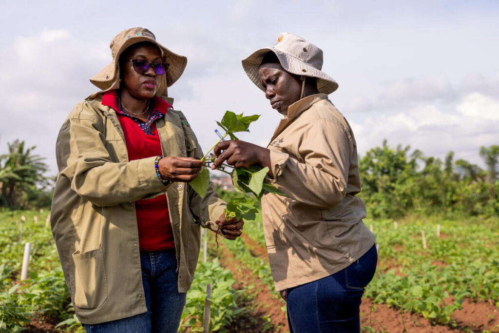 About this framework - Fair Process Framework