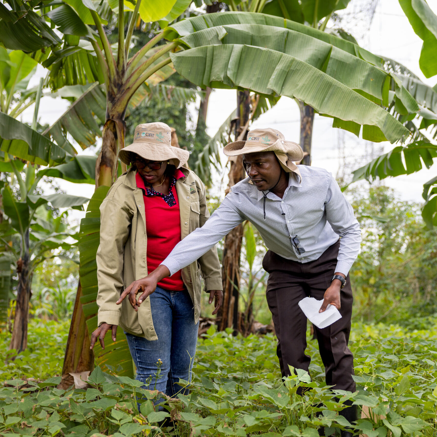 Fair Process Framework - 4.0 Setting FAIR aligning principles