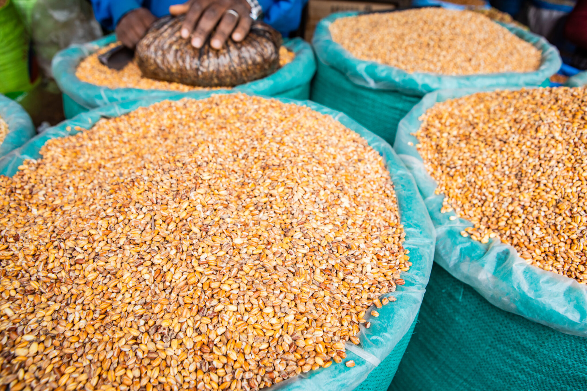 About this framework - Fair Process Framework