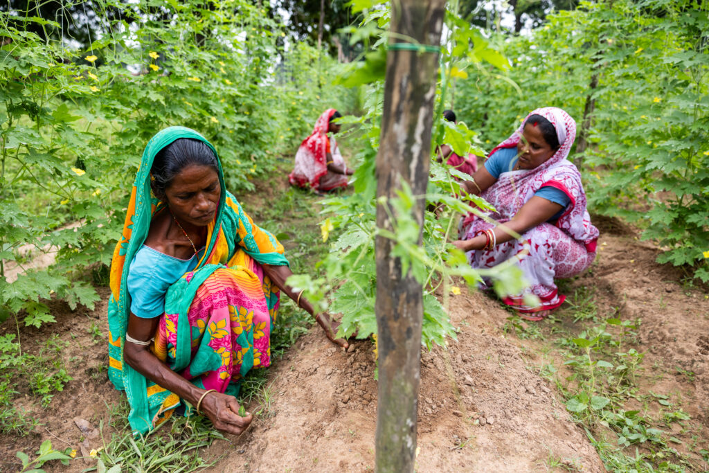 About this framework - Fair Process Framework