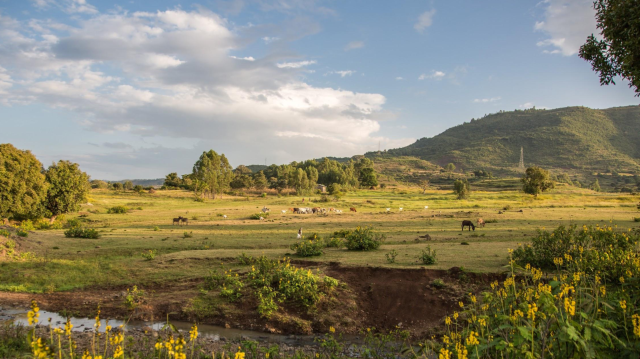 FAIR and responsible data practices unlock value - Fair Process Framework